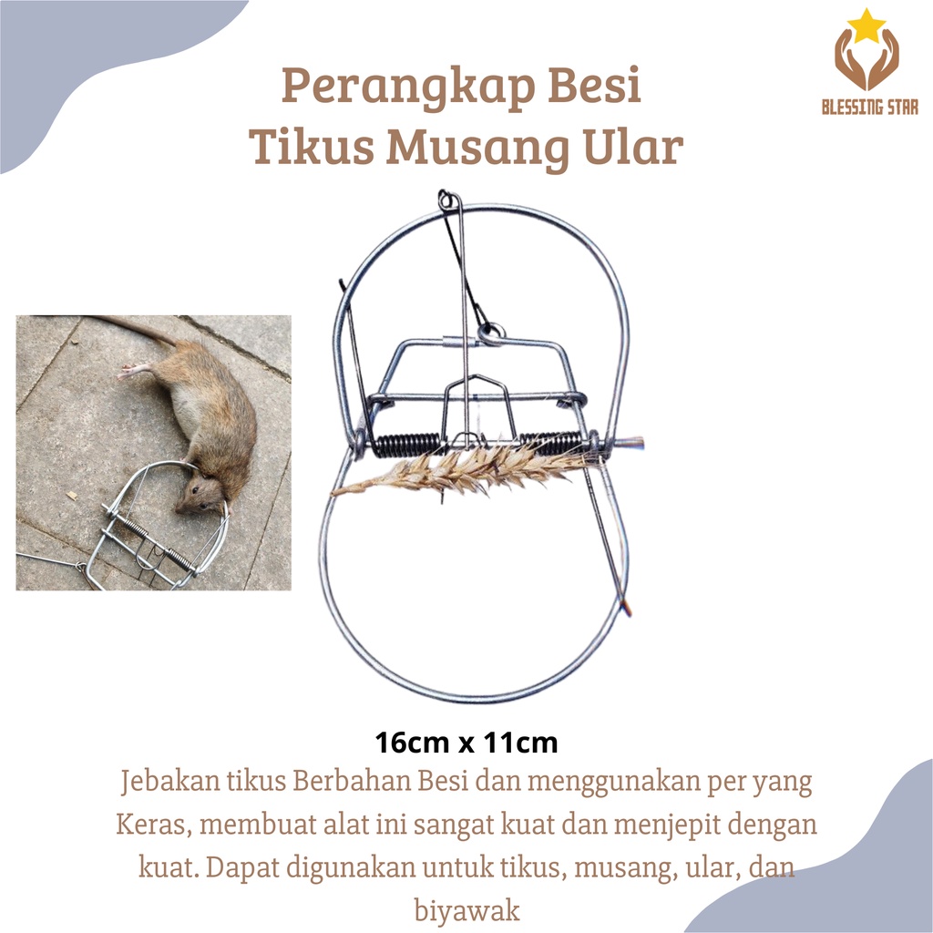 Jual Jebakan Besi Jepit untuk Tikus Musang Biawak Ular | Shopee Indonesia