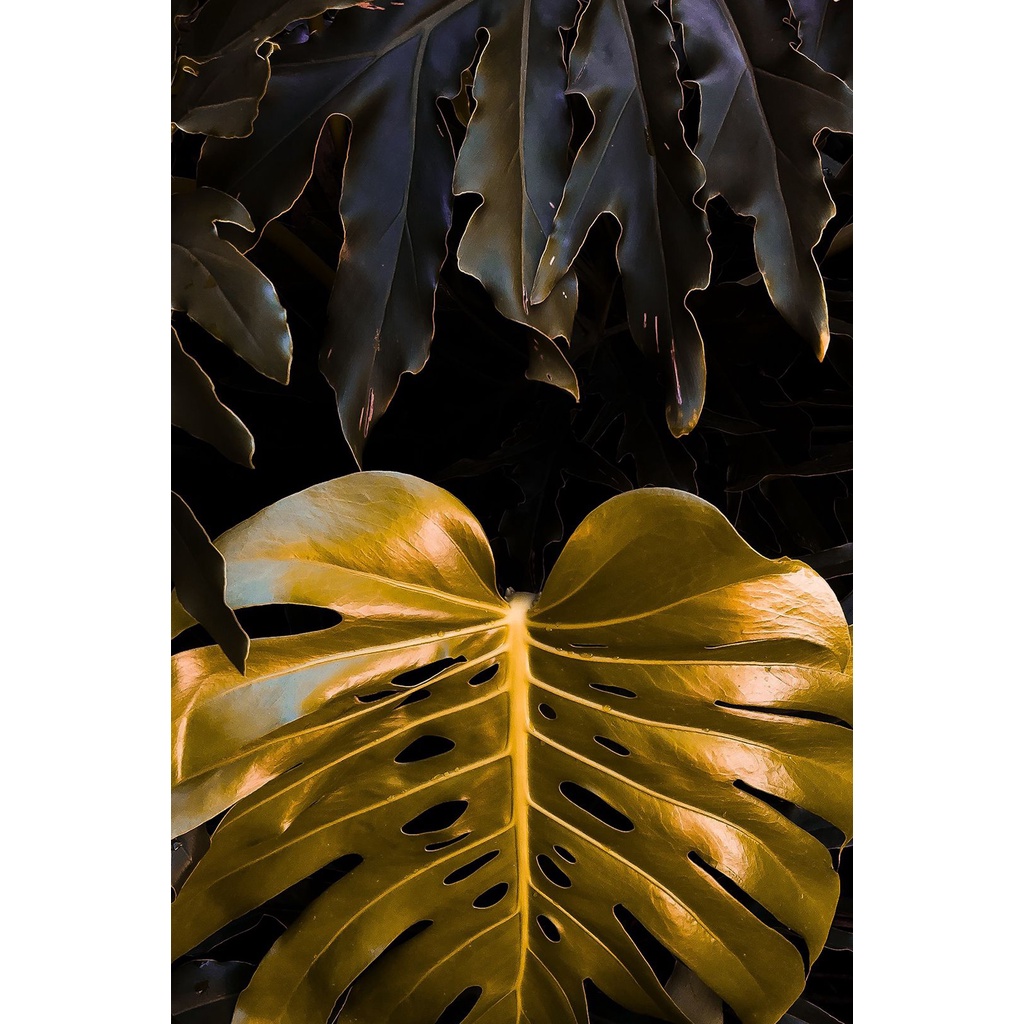 Jual 215/20x30cm/Hiasandinding/pajangan/walldekor/dekorasi/minimalis ...