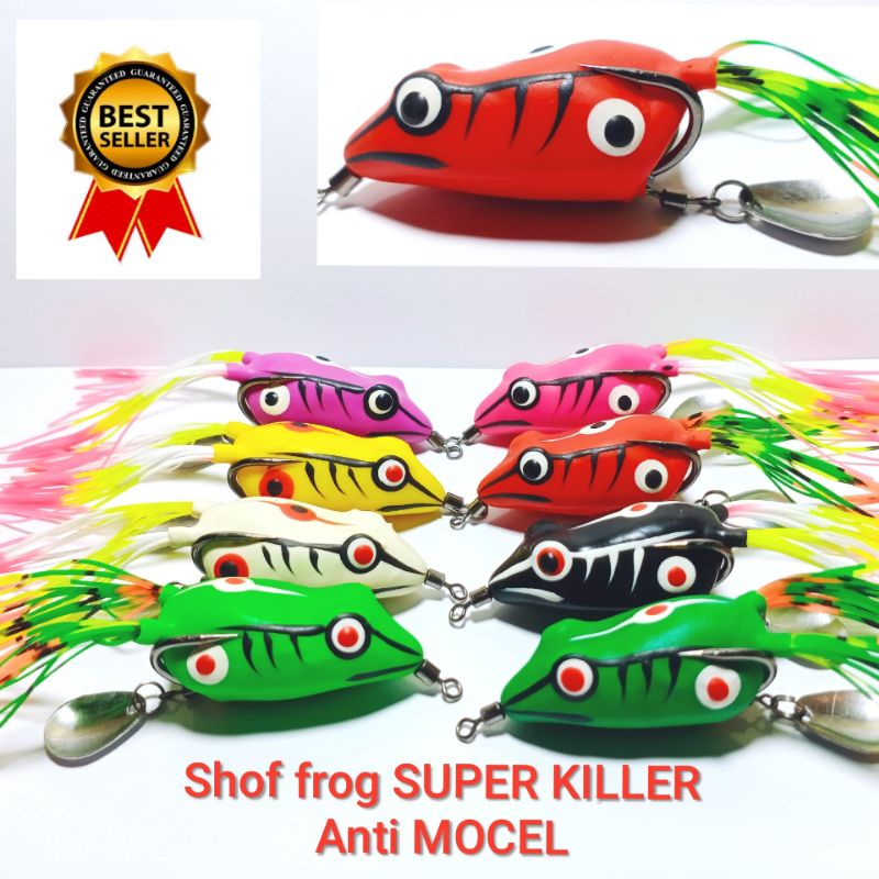Jual shof frog Super KILLER Anti MOCEL ,P 4 cm -B 6 Gr berekor dan ada ...