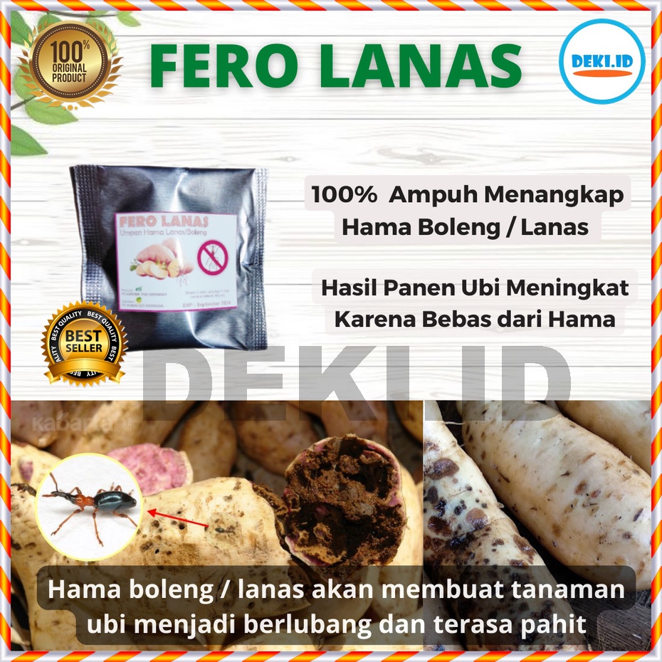 Jual Fero Lanas Feromon Pengendali Hama Boleng Tanaman Umbi Ubi Jalar ...