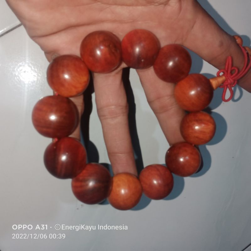 Jual Darah Naga Kayu Agathis/kayu raja dim 18-20 mm | Shopee Indonesia