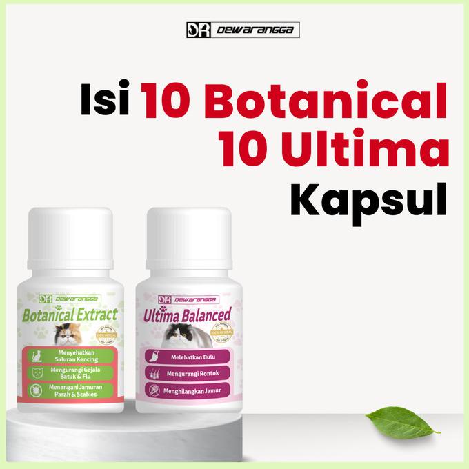 Jual Promo Paket JAMURAN parah - Dewarangga | Shopee Indonesia