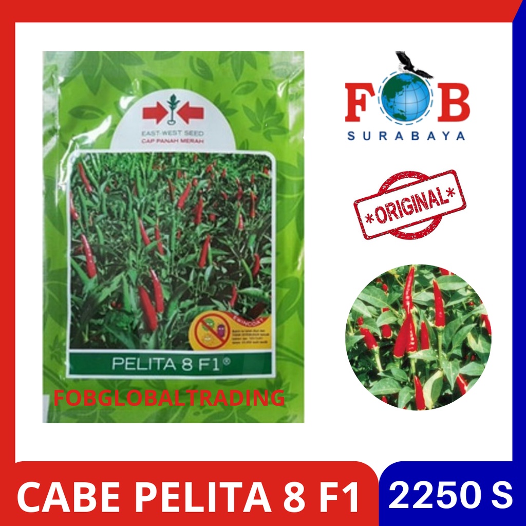 Jual BENIH CABE RAWIT PELITA 8 F1 2250 BUTIR MEREK PANAH MERAH | Shopee ...