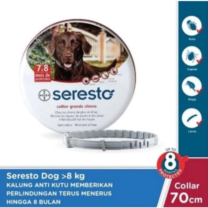 Jual seresto collar dog kalung anti kutu pinjal caplak larva anjing ...
