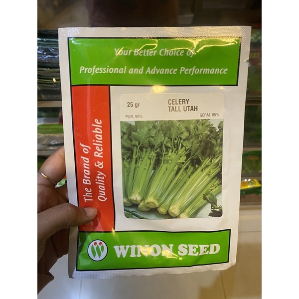 Jual Benih/Bibit Seledri Batang besar Winon Tall Utah | Shopee Indonesia