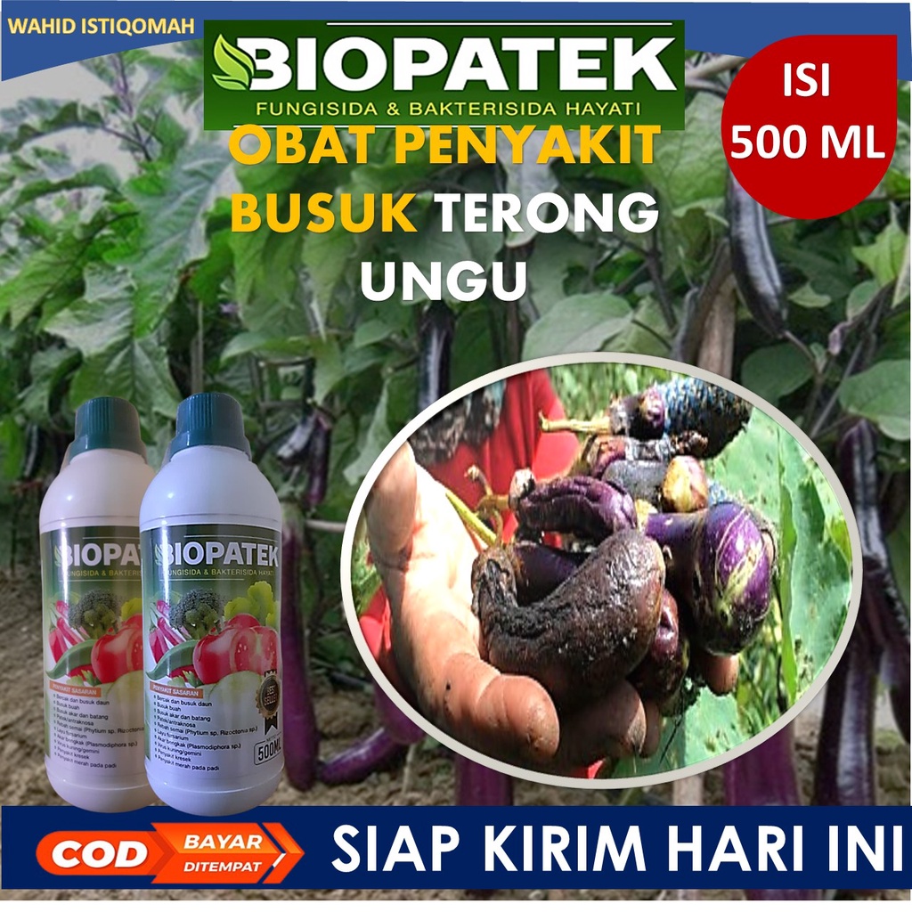 Jual 500 ML BIOPATEK FUNGSIDA DAN BAKTERISIDAN HAYATI obat busuk akar ...