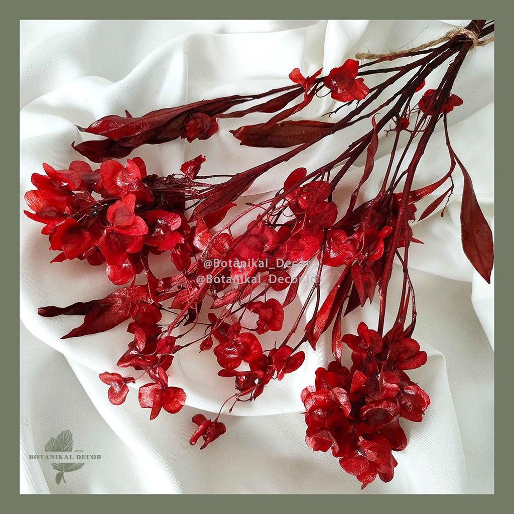 Jual Chinese New Year Preserved Red HopBush Dodonaea Bunga Imlek ...