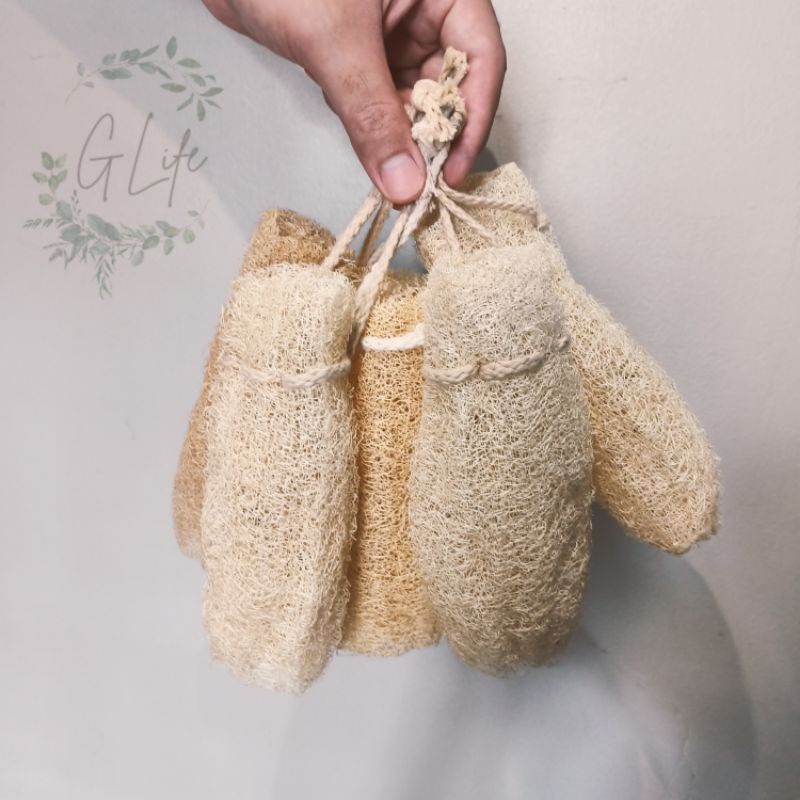 Jual Loofah Spons Mandi Loofah Sponge MINI Sabut Cuci Piring Gambas ...