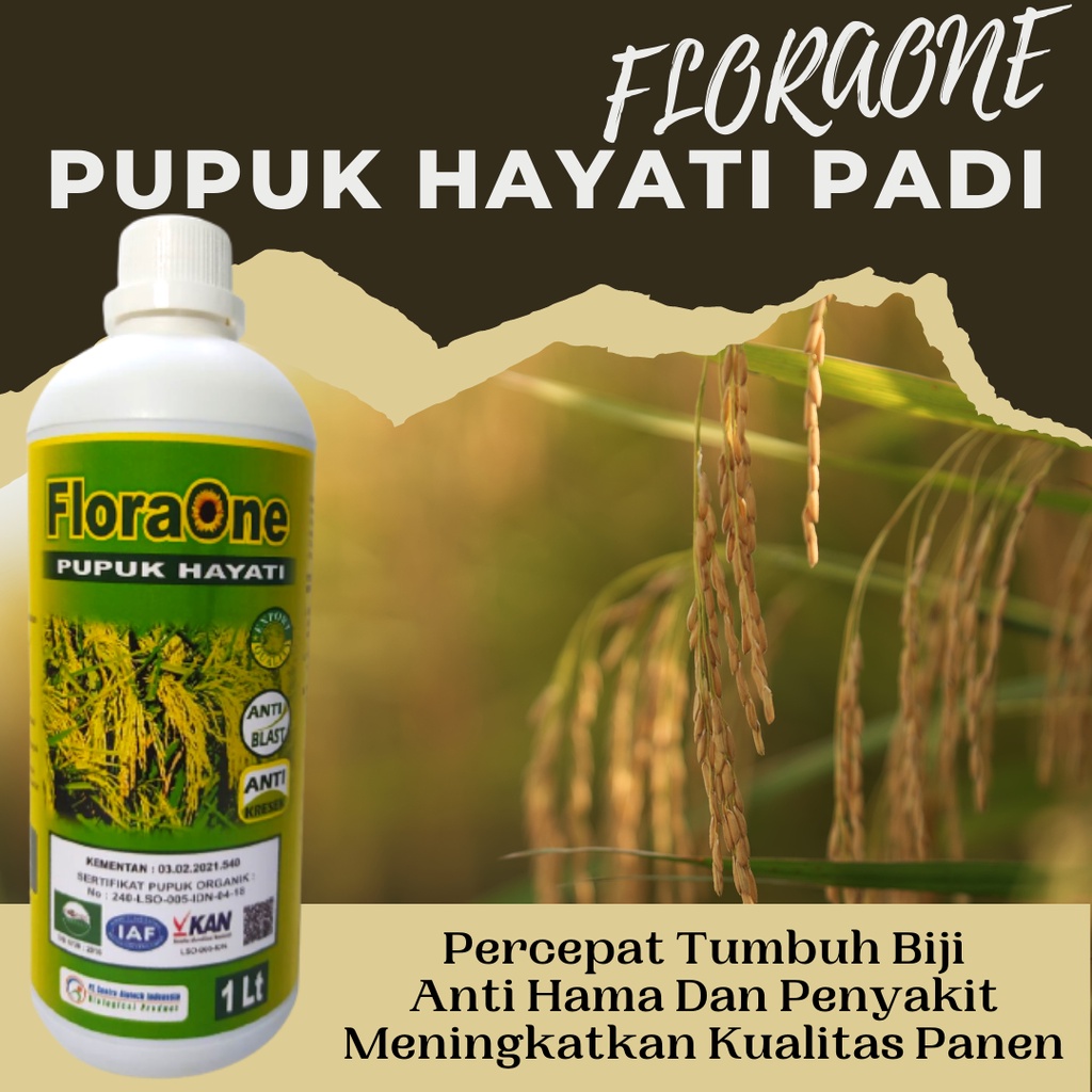 Jual Obat Penyakit Kerdil Tanaman Padi, Pupuk Untuk Benih Padi | Shopee ...