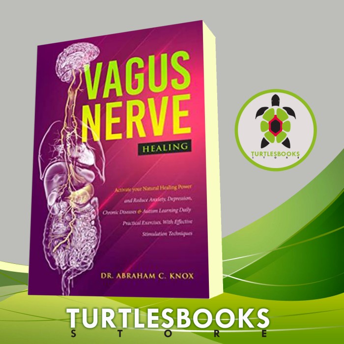 Jual Vagus Nerve Healing: Activate Your Natural Healing Power and ... Jual Vagus Nerve Healing: Activate Your Natural Healing Power and ...