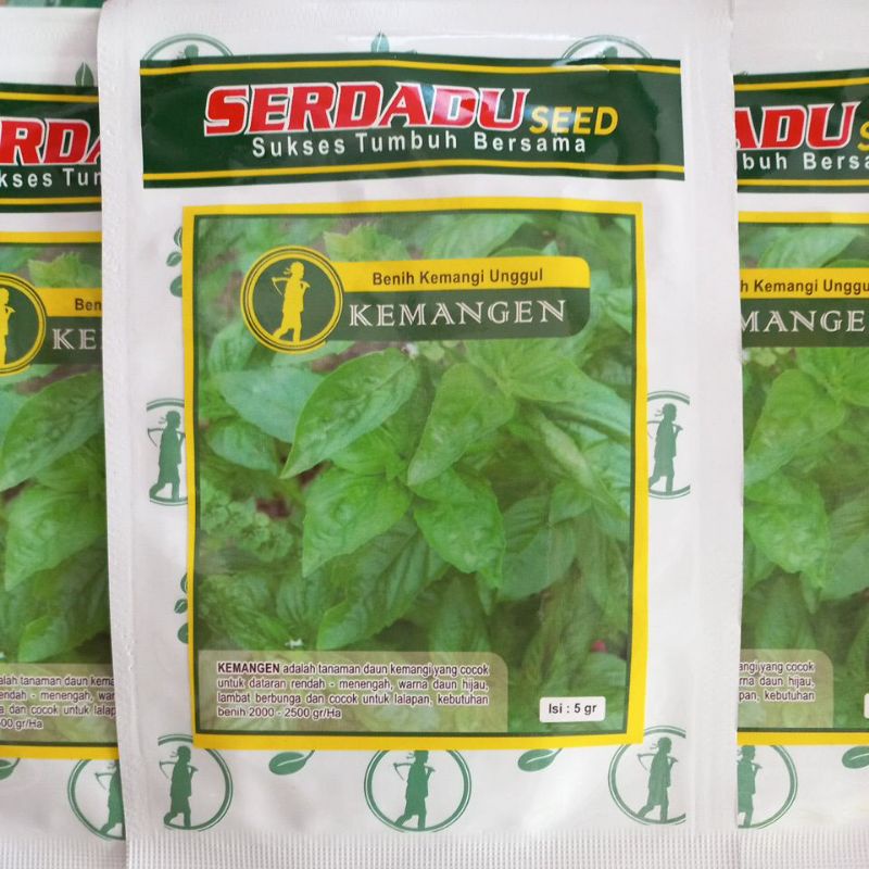 Jual Benih Daun Kemangi KEMANGEN 10 Gram Serdadu Seed | Shopee Indonesia