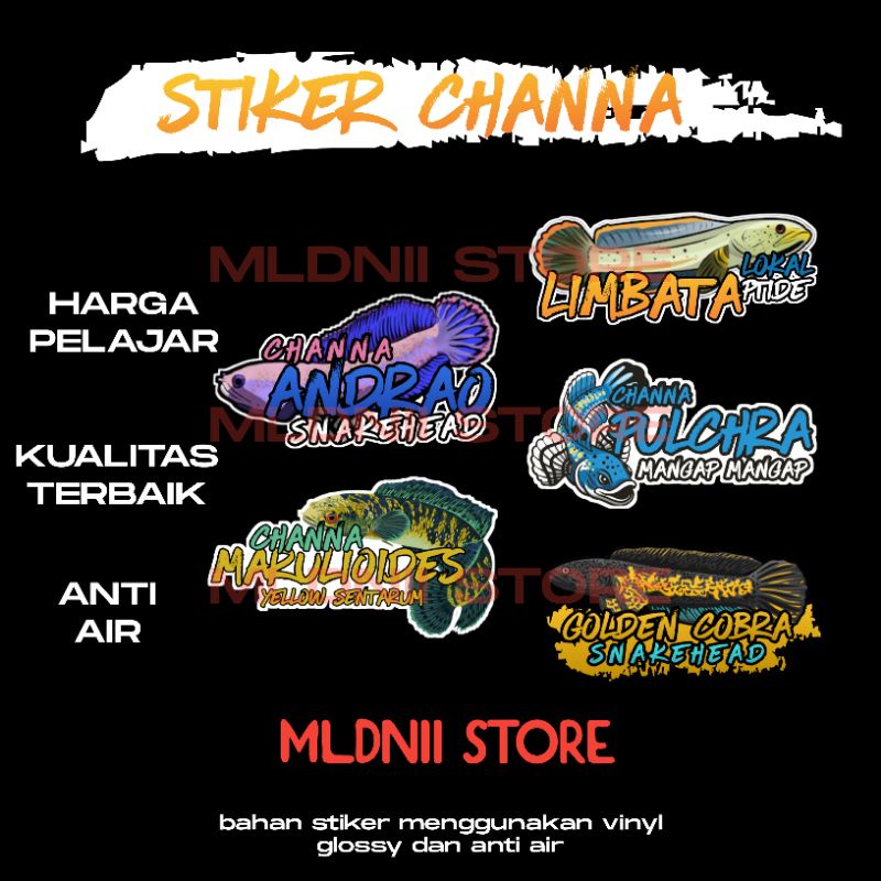 Jual stiker channa stiker aquarium glossy tahan air | Shopee Indonesia