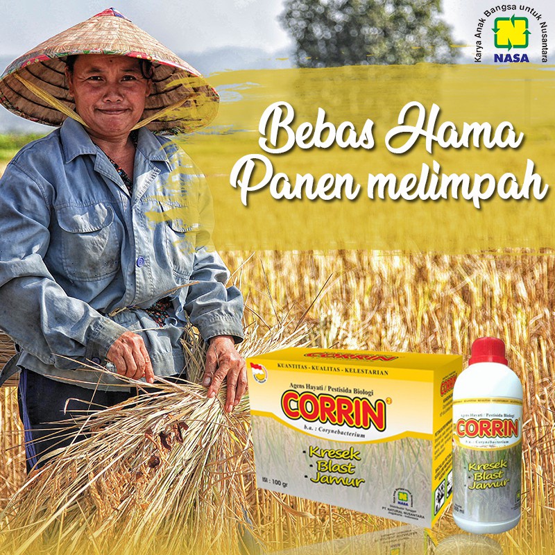 Jual CORRIN CORIN NASA ORIGINAL PEMBASMI HAMA DAN PENYAKIT TANAMAN PADI ...