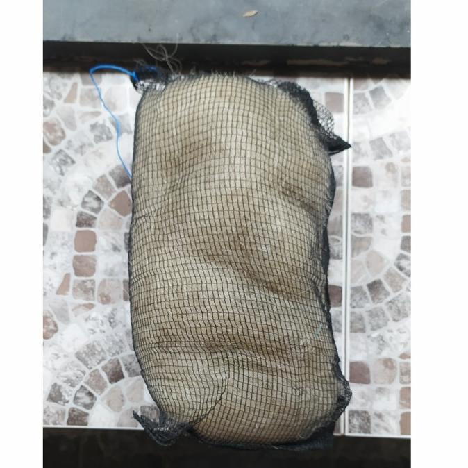 Jual Media Filter Kolam Jaring Nelayan Nilon 17x30cm (S) | Shopee Indonesia