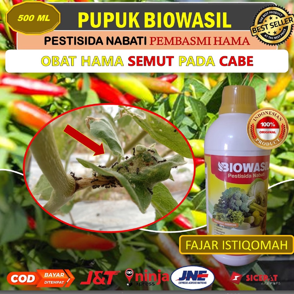 Jual PUPUK BIOWASIL isi 500 ML OBAT PENGENDALI HAMA semut pada cabai ...