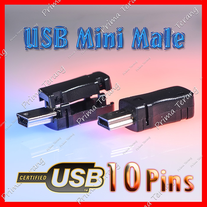 Jual 10 Pin Soket Mini USB Male Plug Konektor Kabel GoPro Hero Pinout ...