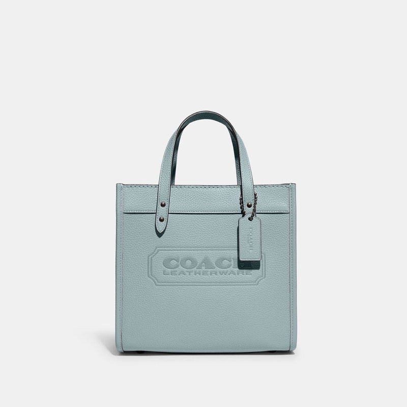 Jual Coach Field Tote 22 In Colorblock Leather Shoulder Bag (CA089 ...