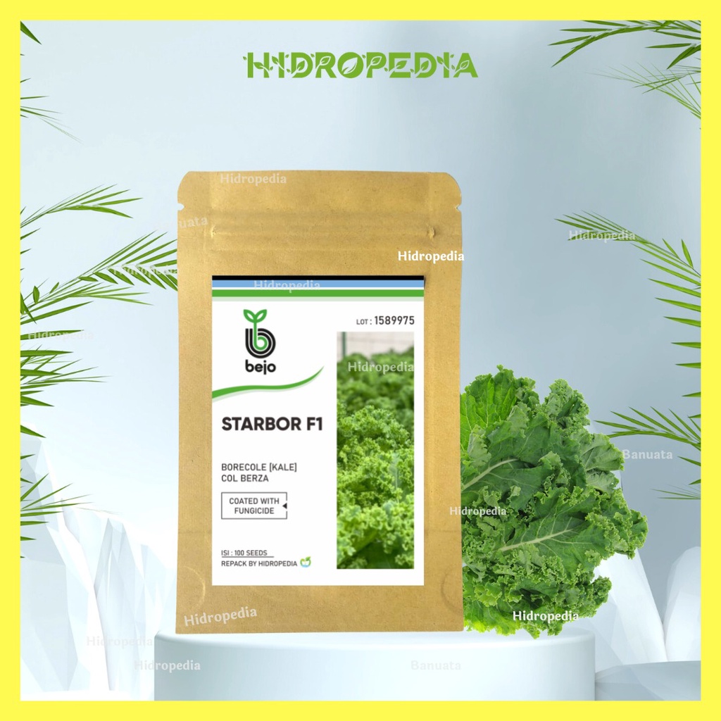 Jual Benih Bibit Kale Starbor Bejo isi 100 biji (Benih Import ...
