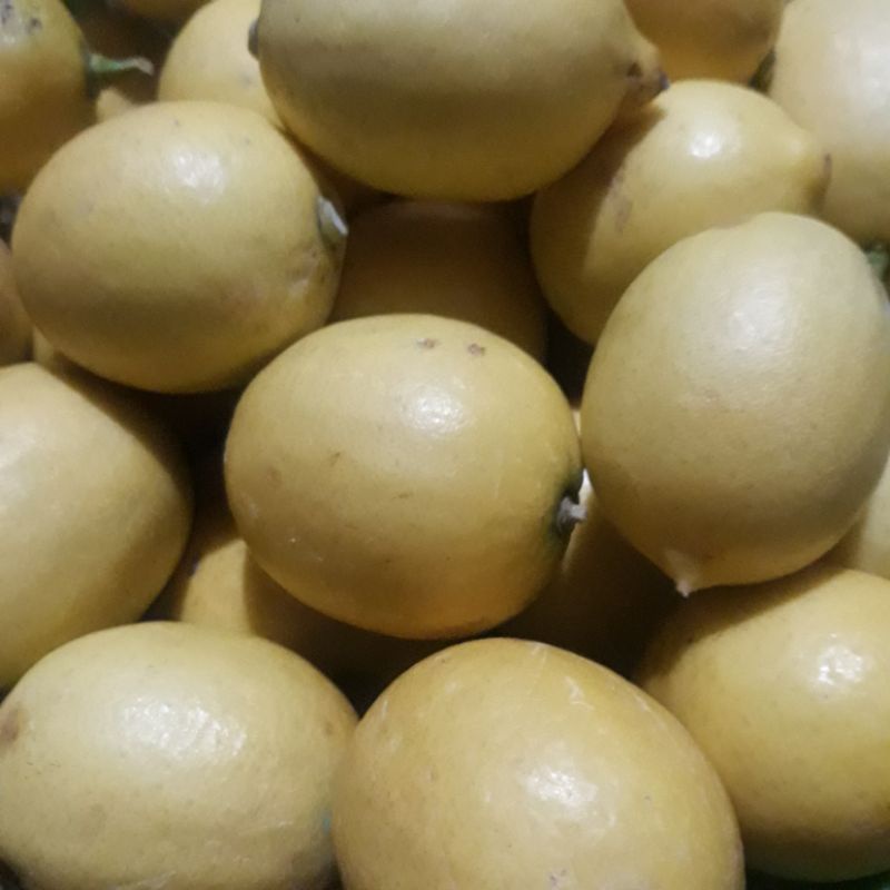 Jual JERUK LEMON SEGAR Ukuran Kecil-sedang 1 kilo | Shopee Indonesia