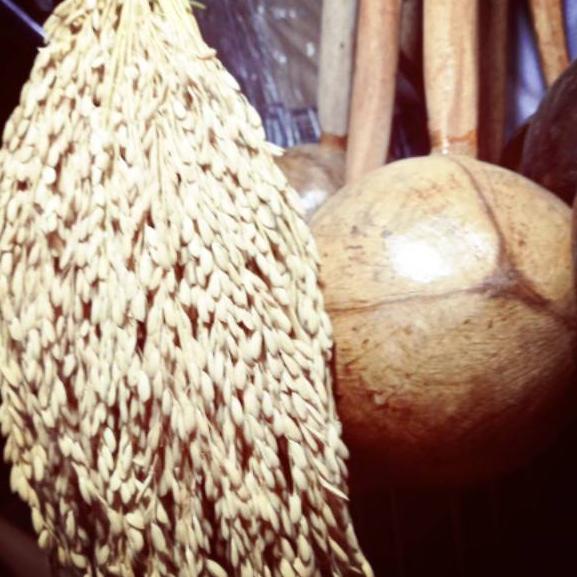 Jual Padi tangkai kering | Shopee Indonesia