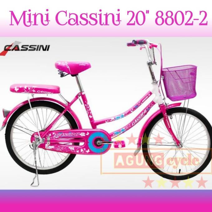 Jual Sepeda Mini Keranjang Trex Cassini 20 8802 Interbike Anak Dewasa ...