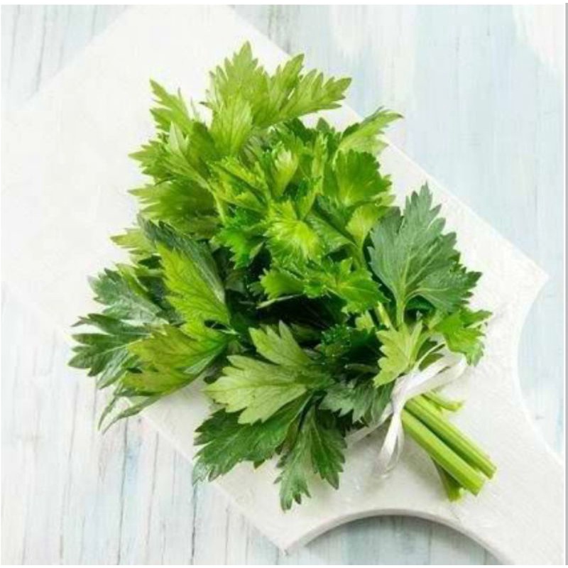 Jual BSM | Daun Sop Segar / Daun Seledri / Seledri Segar 250gr - 1kg ...