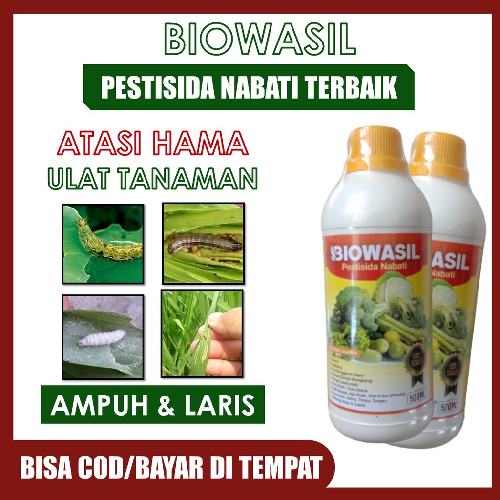 Jual (PROMO COD) BIOWASIL 500 ML Atasi Hama Ulat Daun Buah dan Tanaman Cabe, Ulat bawang, Ulat ...