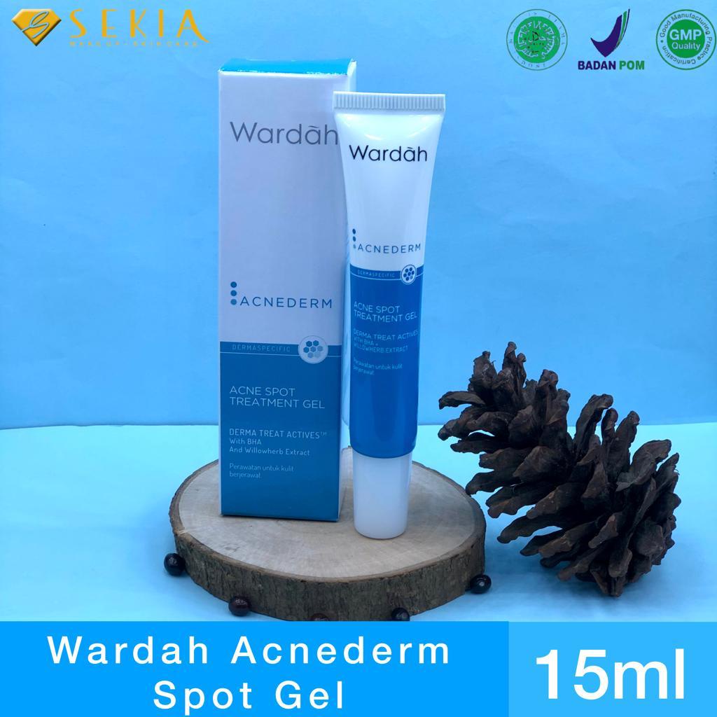 Jual WARDAH ACNEDERM ACNE SPOT TREATMENT GEL/ SPOT TREATMENT GEL/ ACNE ...