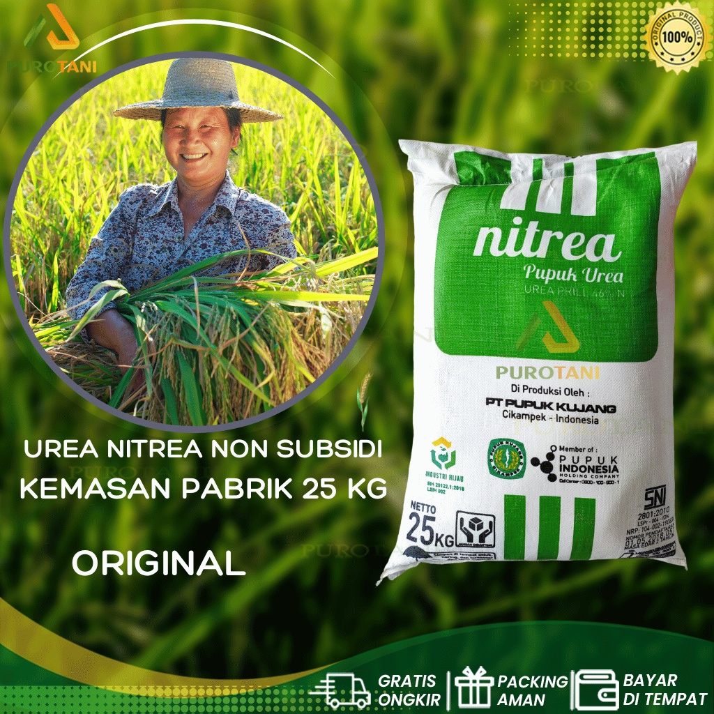 Jual Nitrea Pupuk Urea Pupuk Kujang - 25 KG Kemasan Pabrik | Shopee ...