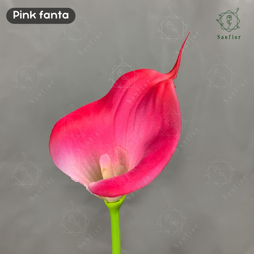 Jual CALLA LILY K1/BUNGA LILY LATEX 1 CABANG/CALLA LILY PALSU | Shopee ...