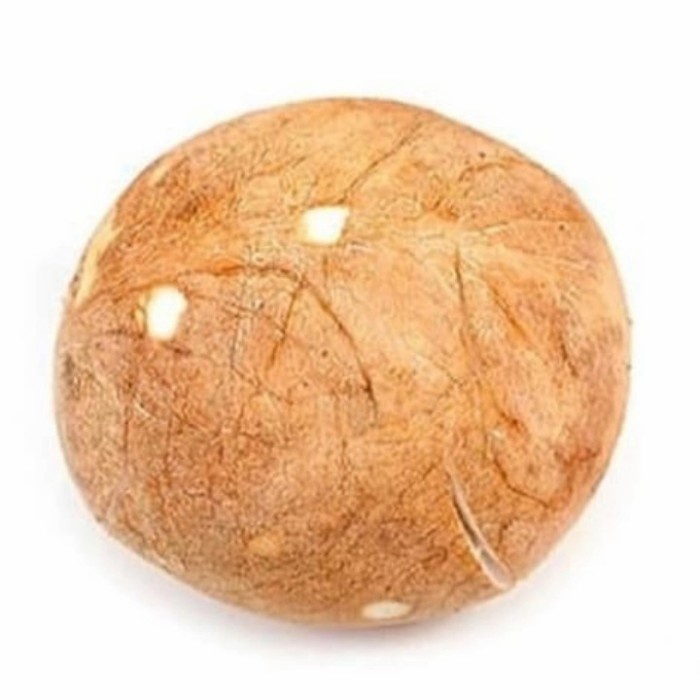 Jual kelapa utuh 1 butir | Shopee Indonesia