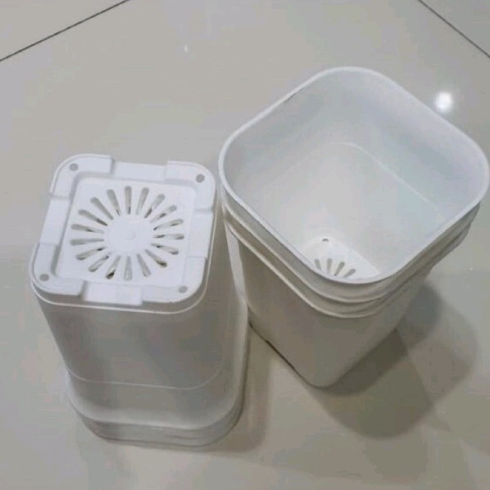 Jual POT SEGI NKT 10 PUTIH POT NKT POT 10 POT PUTIH | Shopee Indonesia
