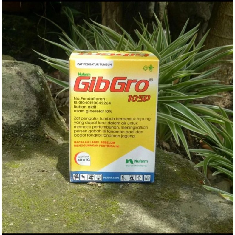 Jual ZPT Gibgro 10 SP Hormon Giberelin GA3 1 gram Asam Giberelat Zat ...