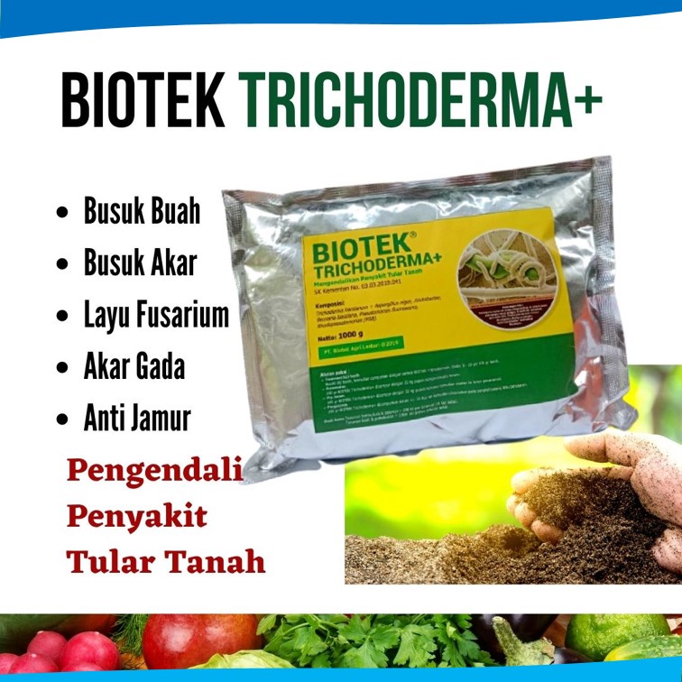 Jual Pupuk Hayati Tricoderma Beauveria Bassiana Layu Fusarium CABE ...