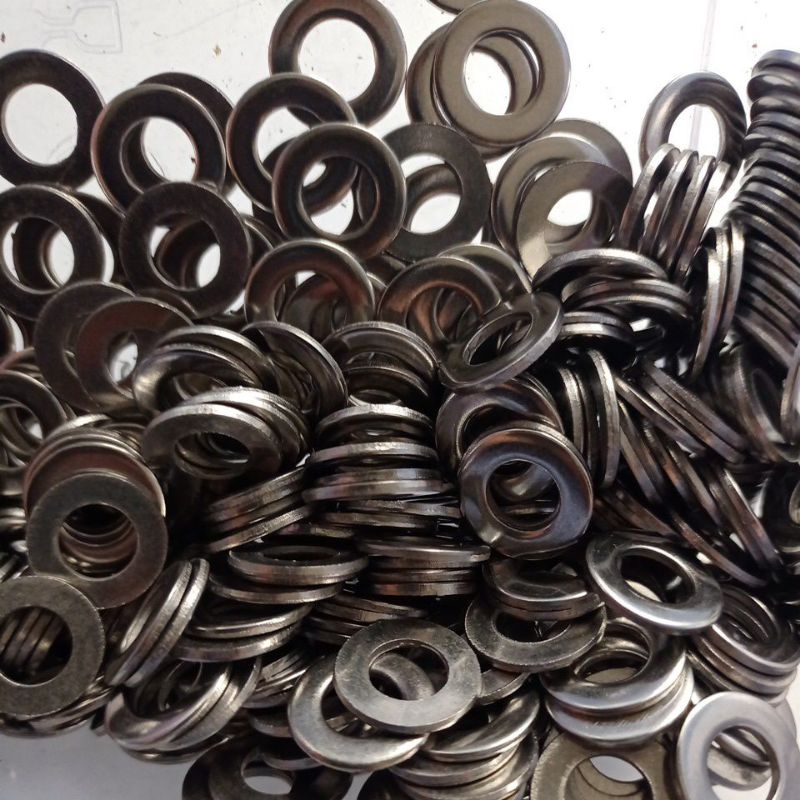 Jual 20 PC RING PLAT SS304 M6/ RING STAINLESS M6/ WP SS304 M6 | Shopee ...