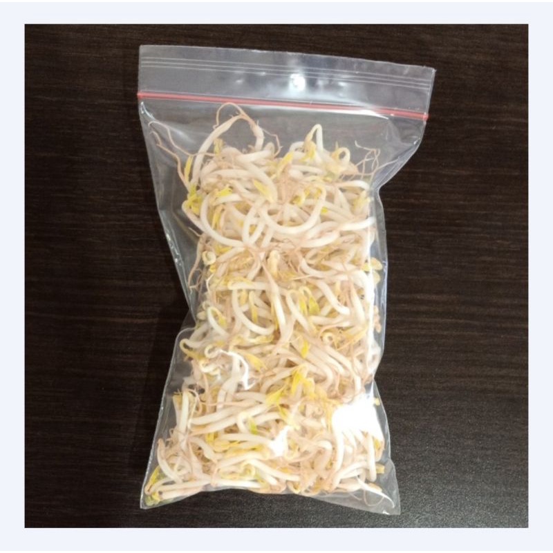 Jual Tauge kecambah PETIK 100 gr | Shopee Indonesia