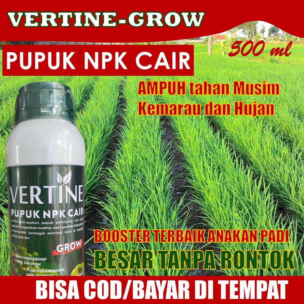 Jual (100% ASLI) Pupuk Ajaib PERBANYAK ANAKAN PADI - VERTINE GROW 500 ML Panen Padi Lebih Banyak ...