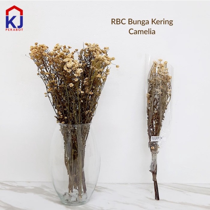 Jual Rbc Bunga Kering Camelia #Original | Shopee Indonesia