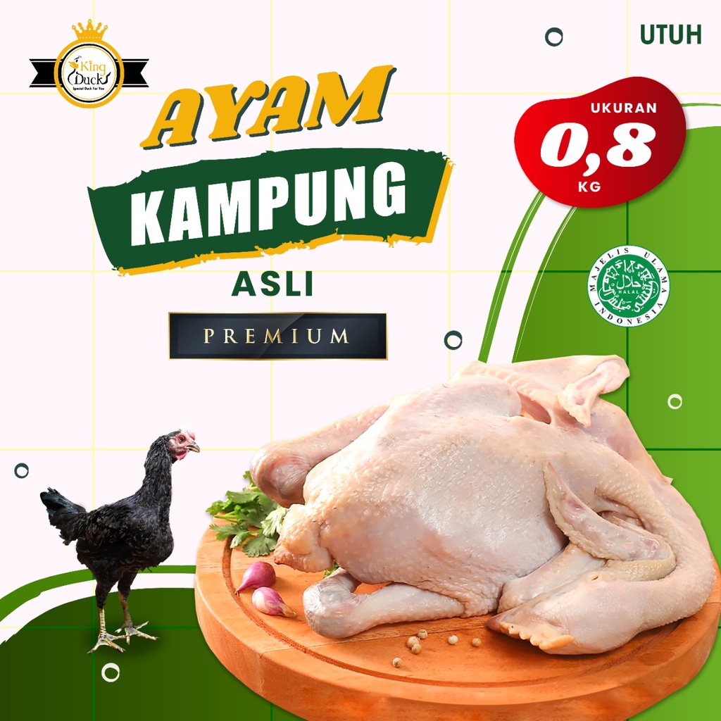 Jual AYAM KAMPUNG 0.8 KG UTUH PAKAI KEPALA KAKI | Shopee Indonesia