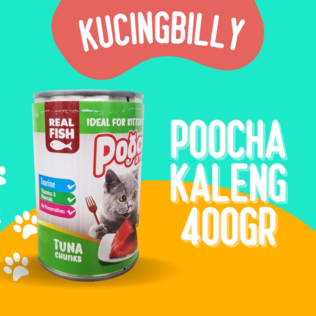 Jual Poocha 400gr makanan kaleng kucing | Shopee Indonesia