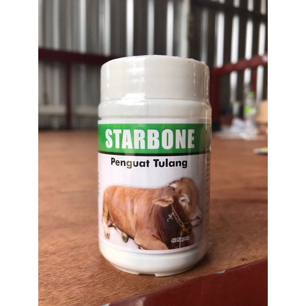 Jual Starbone Obat Penguat Tulang Sapi Kerbau Kambing Domba isi 40 ...