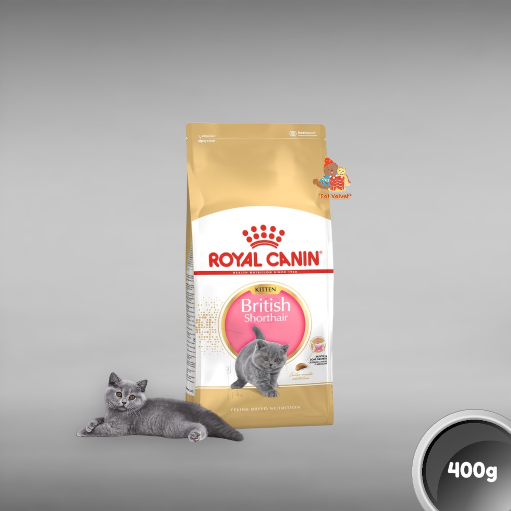 Jual Royal Canin Kitten British Shorthair 400g - Makanan Anak Kucing ...