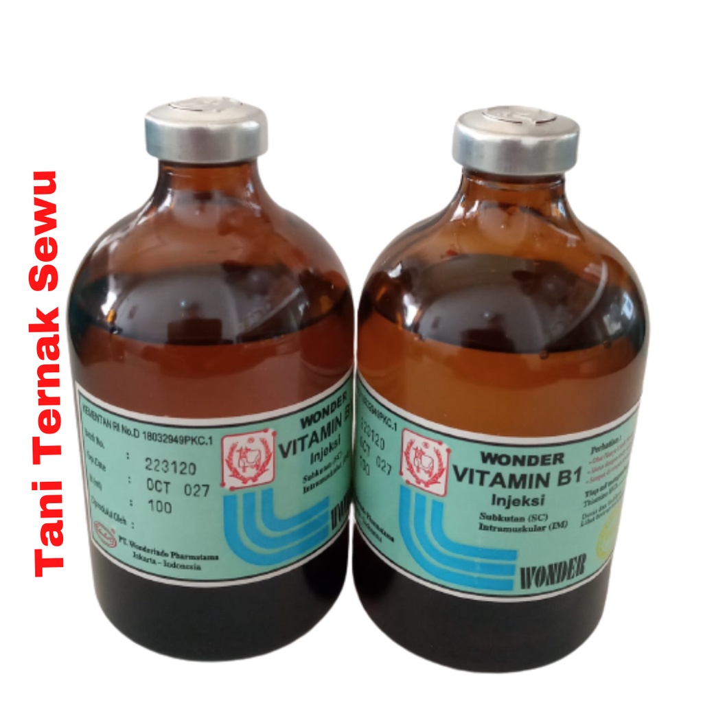 Jual Vitamin B1 WONDER 100ml obat lumpuh kambing sapi domba | Shopee ...