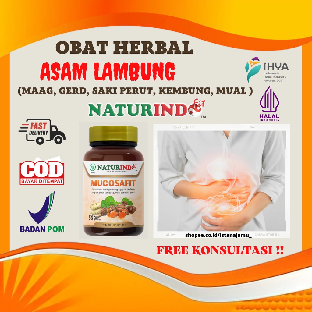 Jual Obat Maag Asam Lambung Pencernaan Maag Kronis Nyeri Pada Lambung ...