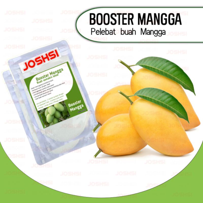 Jual booster mangga , perangsang buah mangga pelebat buah pupuk buak ...