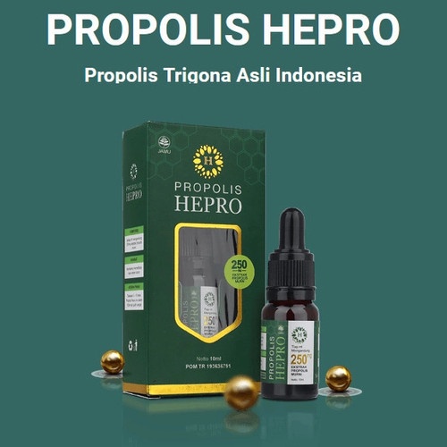 Jual Propolis Hepro - Obat TBC Sesak Nafas TB Paru Paru Paru Basah ...