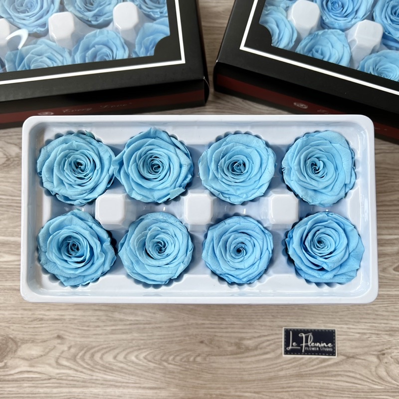Jual Preserved Rose Diameter 4 5 Cm Mawar diawetkan Fresh Palsu Abadi ...