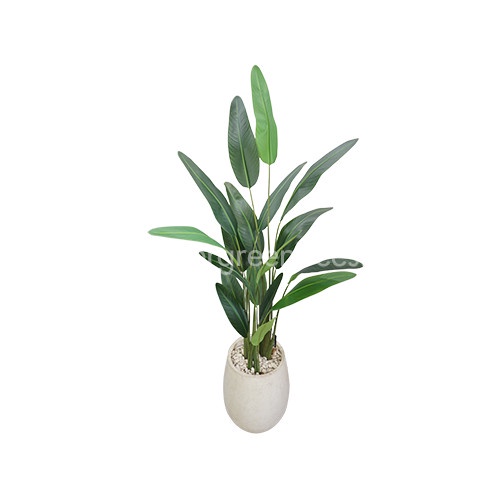 Jual POHON TROPICAL/ POHON HIAS/ POHON PALSU/ 150CM REAL TOUCH ST ...