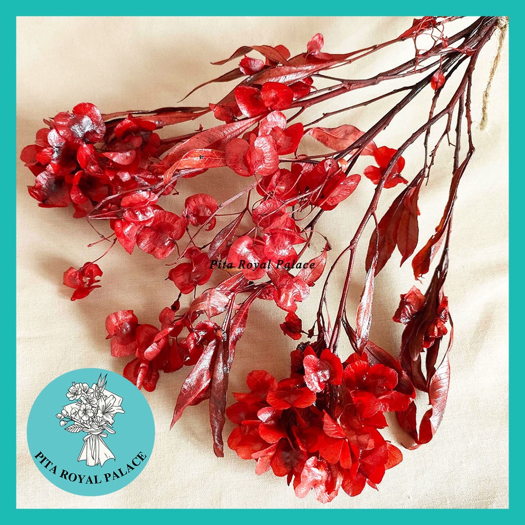 Jual Chinese New Year Preserved Red HopBush Dodonaea Bunga Imlek ...