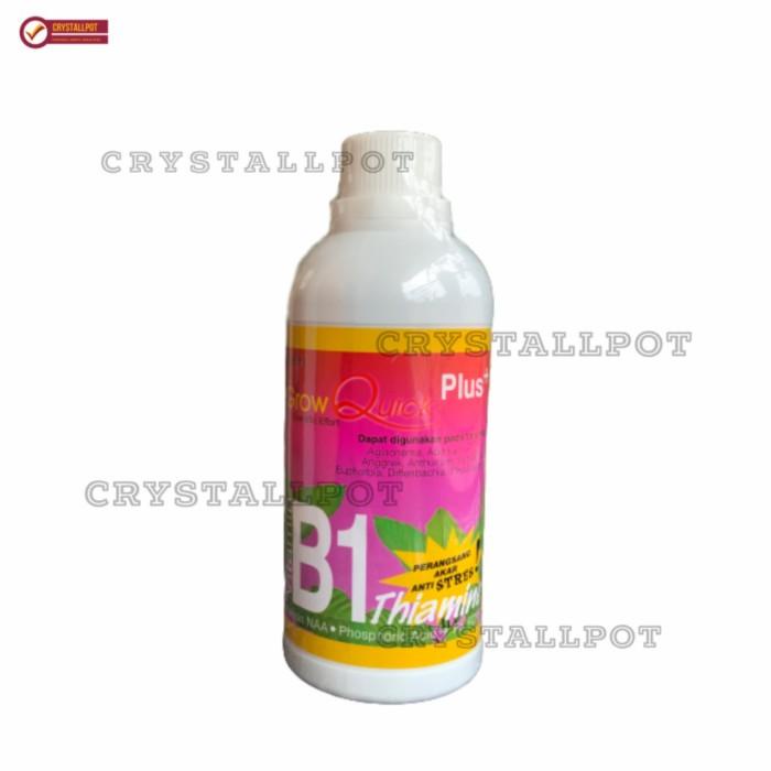 Jual Pupuk Vitamin B1 Plus Grow Quick 500Ml Hormon Akar - B1 Plus Besar Best Seller | Shopee ...